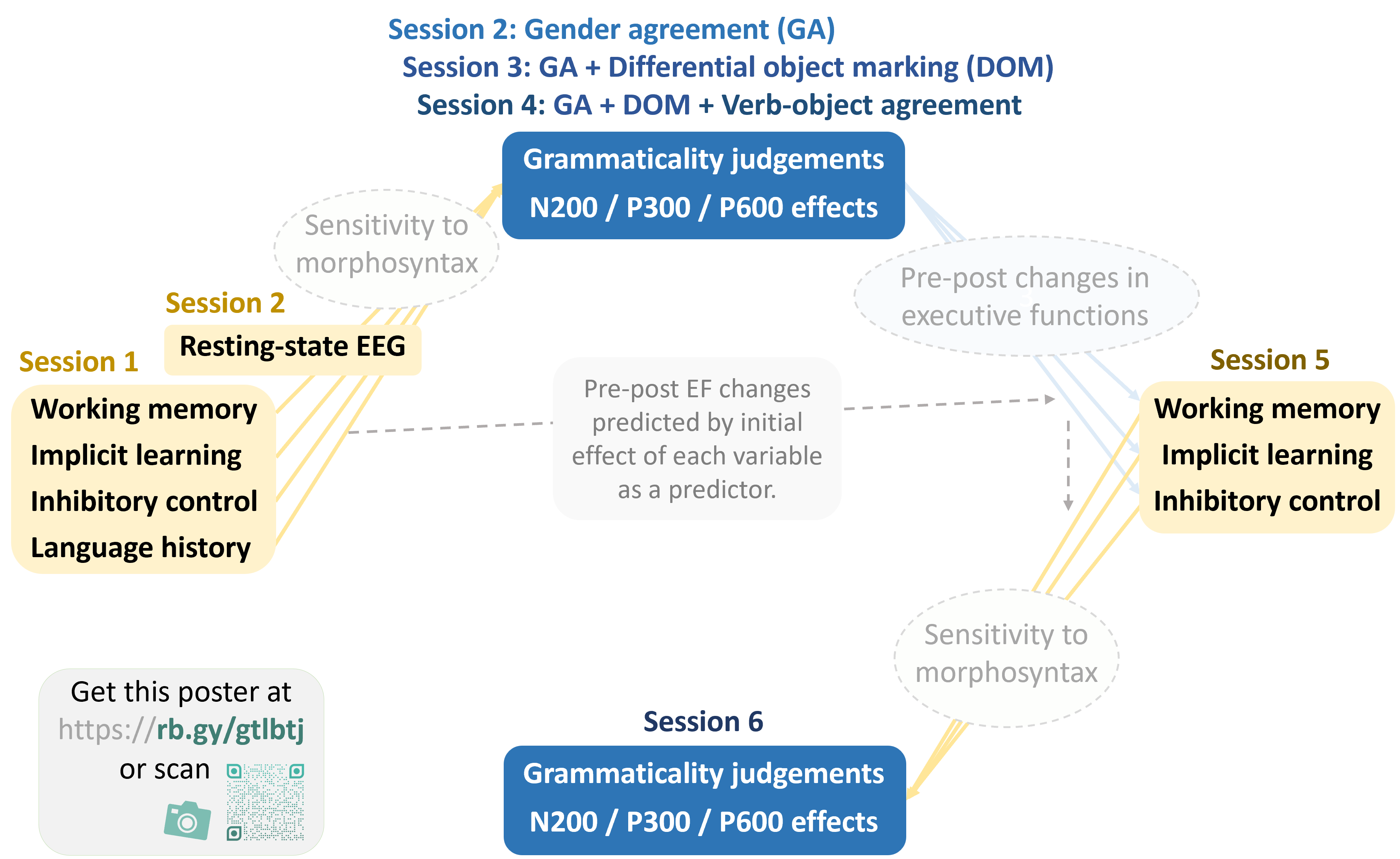 Investigating language learning and morphosyntactic transfer longitudinally using artificial ...
